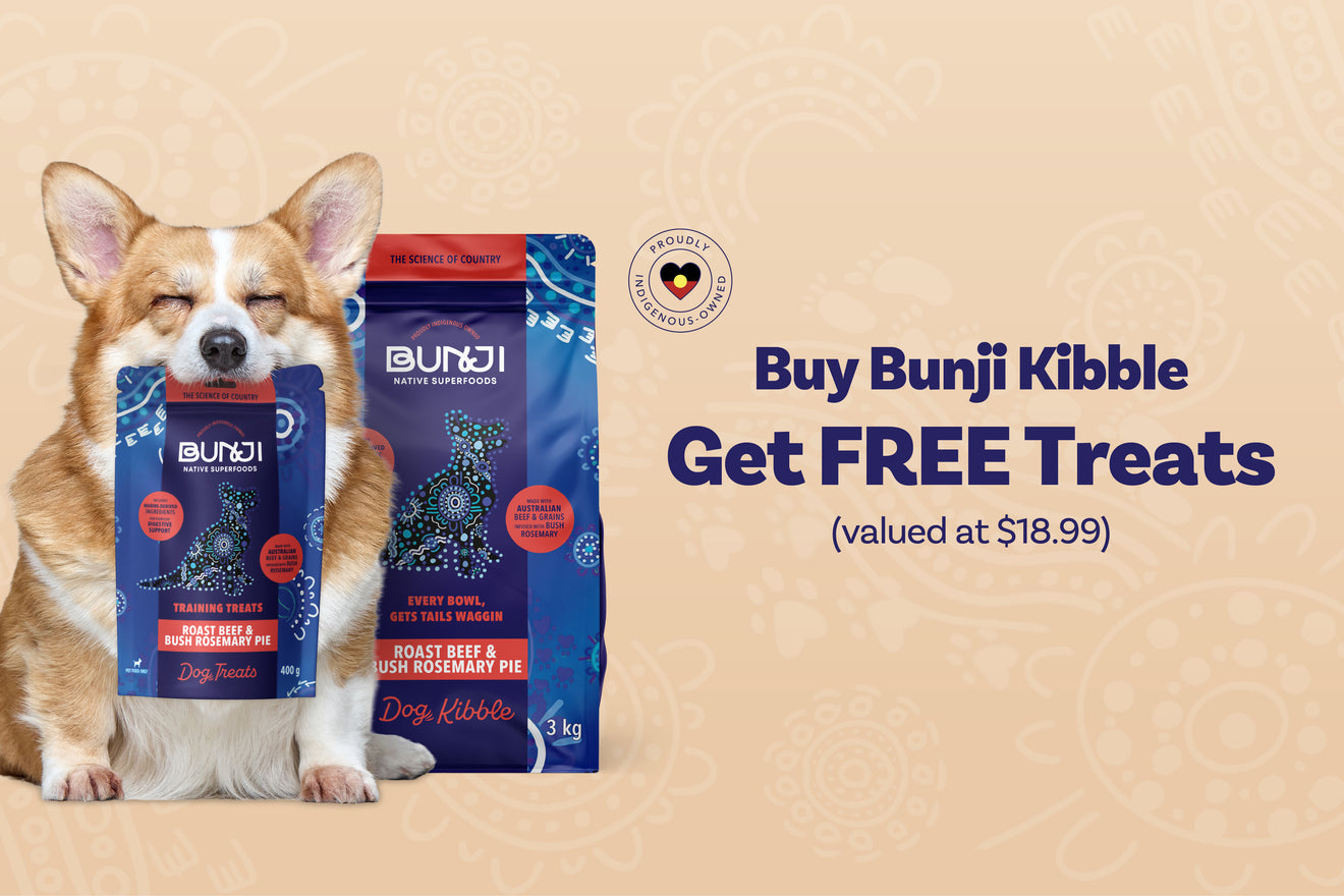Bunji Pet Food | Premium Native Ingredients and Superfoods